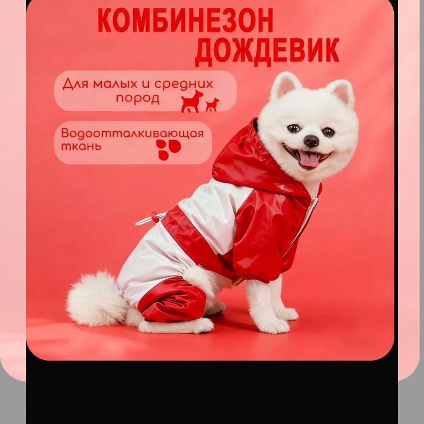 Одежда для маленьких собак