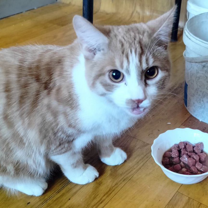 Мальчик 7 месяцев