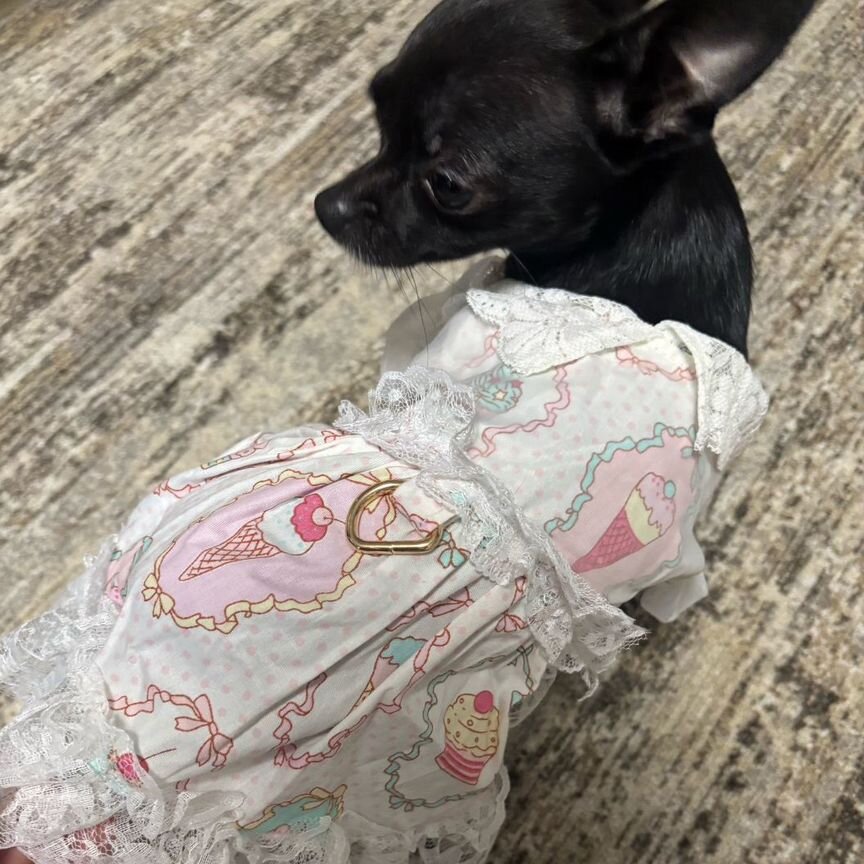 Платье для маленькой собаки s