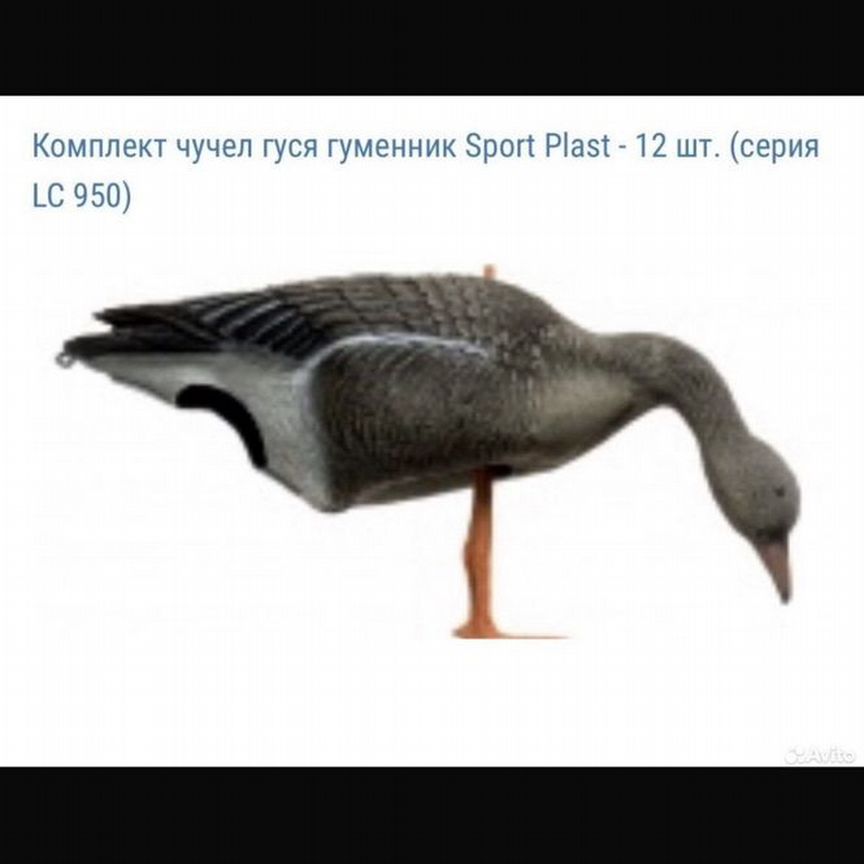 Продам комплект гусей