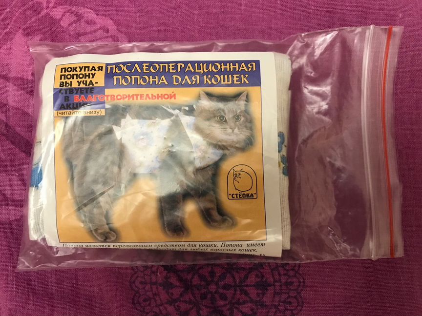 Новая послеоперационная попона для кошек
