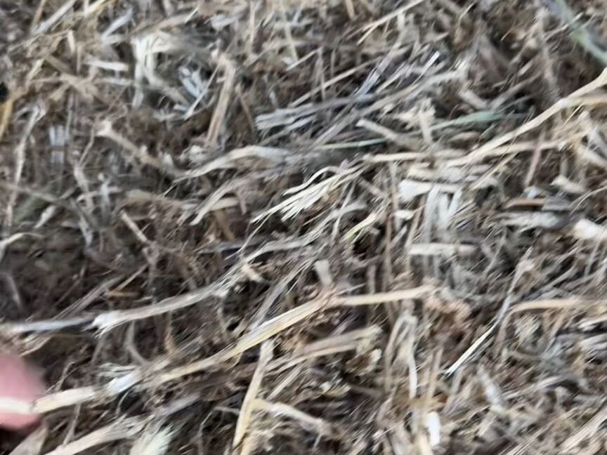 Тюки горох и солома