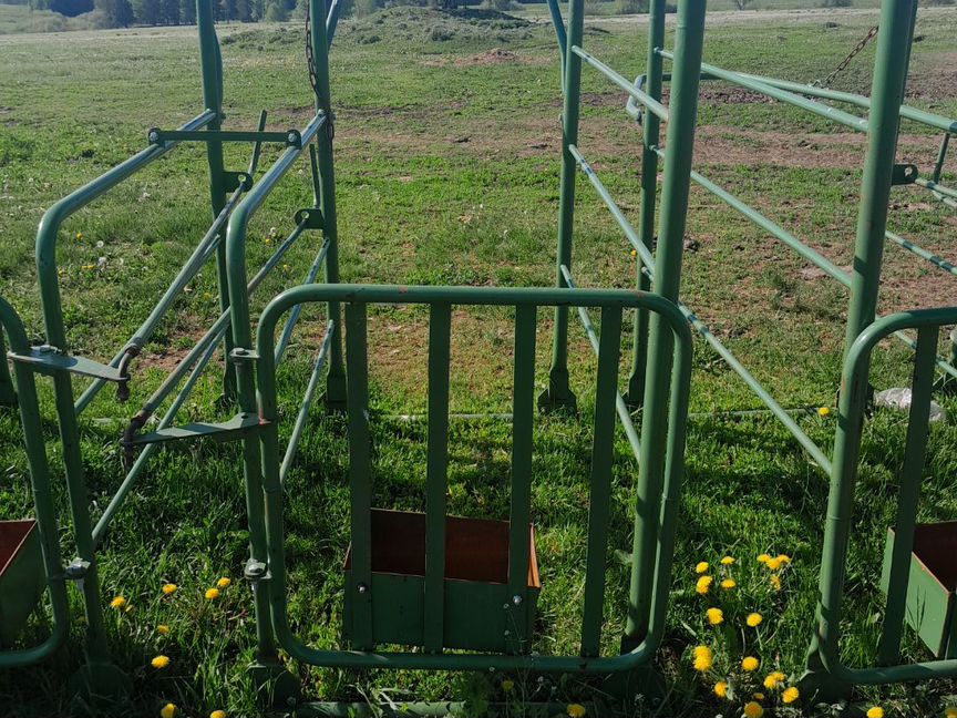 Станок доильный. Универсальный