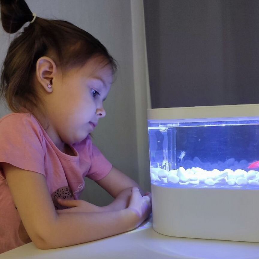 Мини аквариум