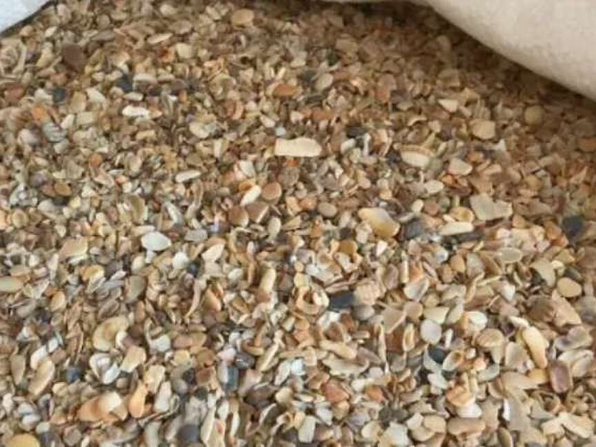 Ракушка, мел