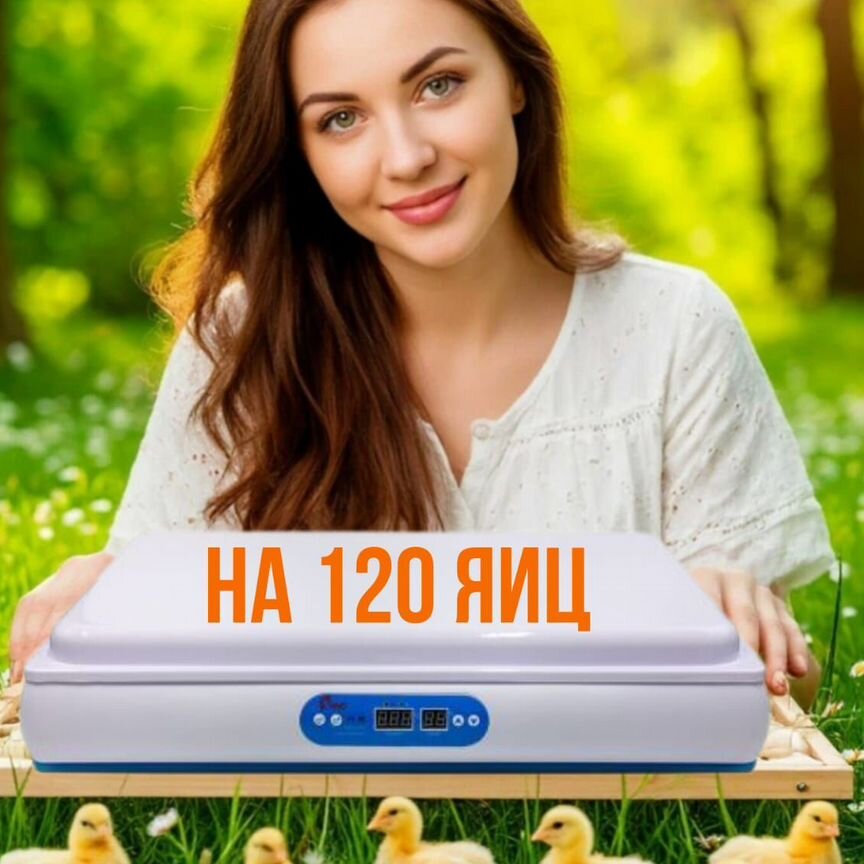 Инкубатор в рассрочку