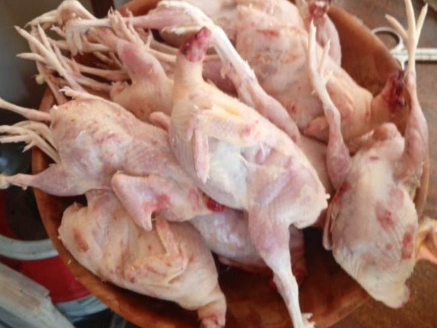 Мясо перепела