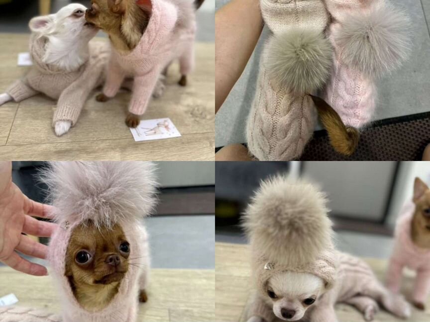 Одежда для собак из пуха норки