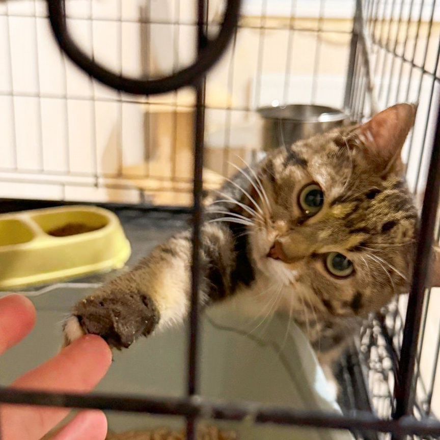 Мальчишки хотят общаться