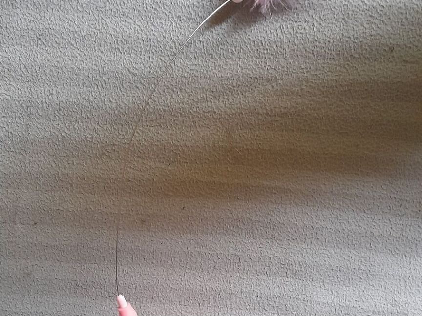 Ошейник дразнилка для кошки