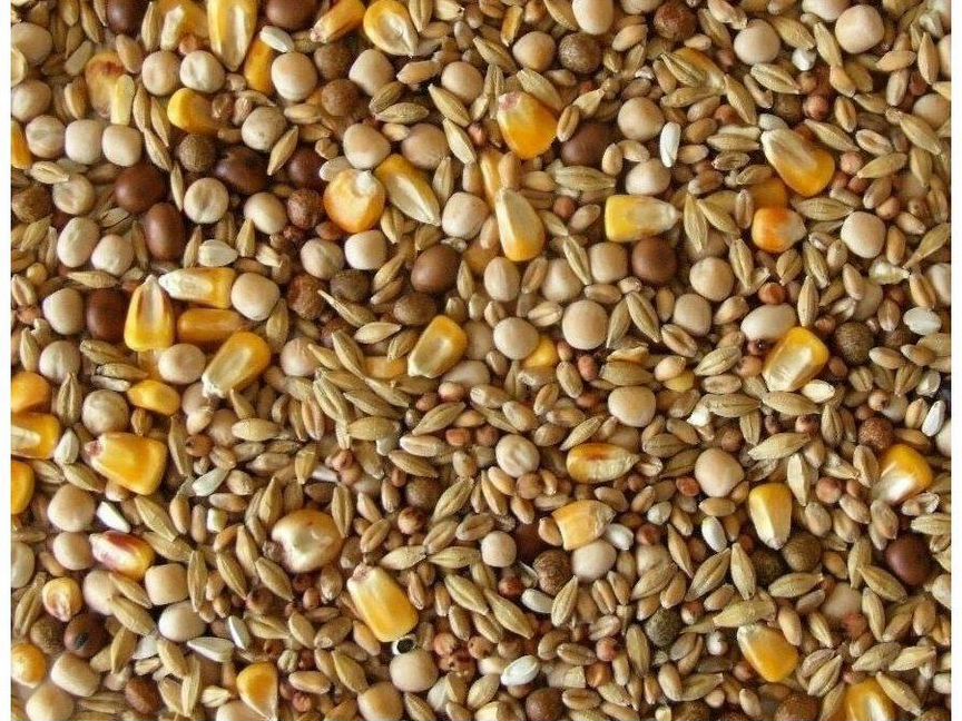 Зерносмесь