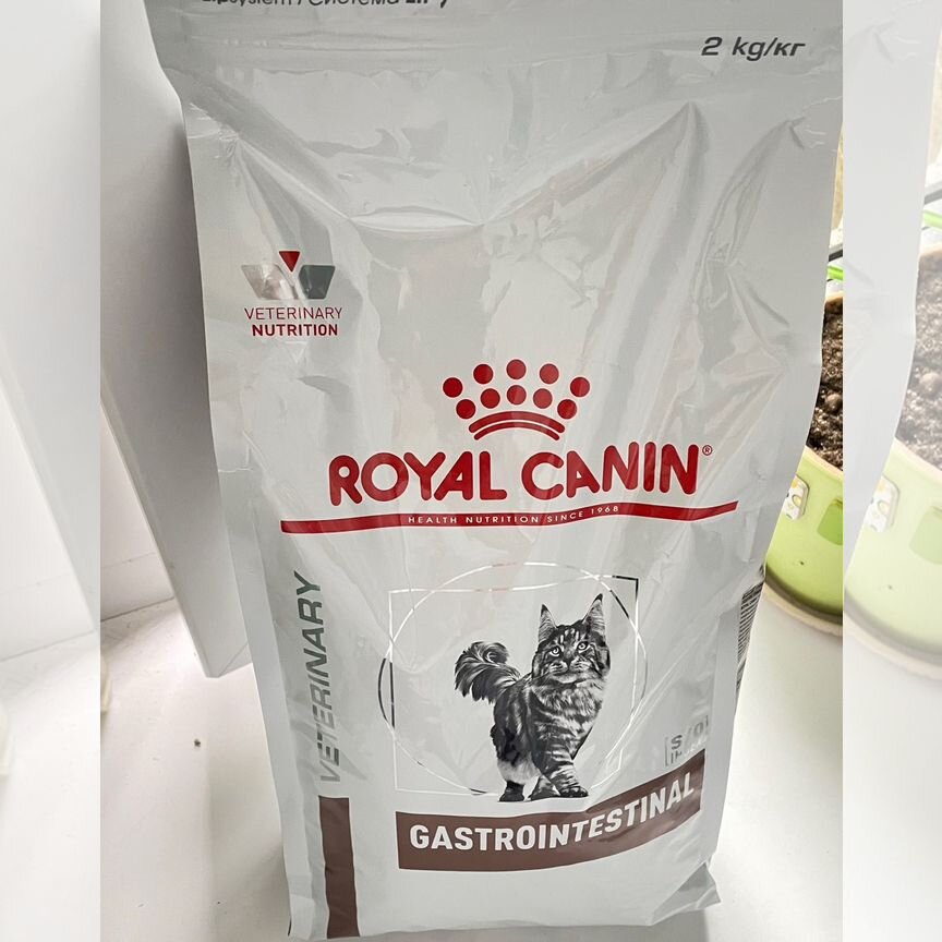 Корм для кошек Royal canin gastrointestinal