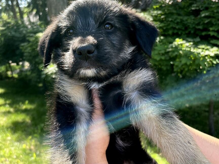 Кузьма в ответственные ручки