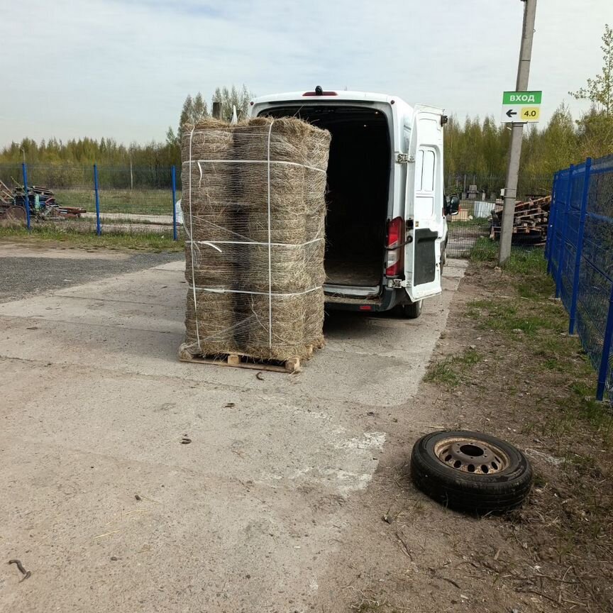 Сено в мини рулонах