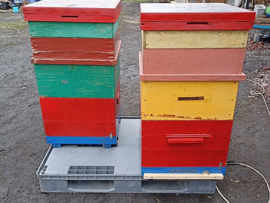 Ульи для пчел