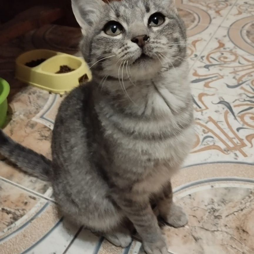 Мальчик 5 мес