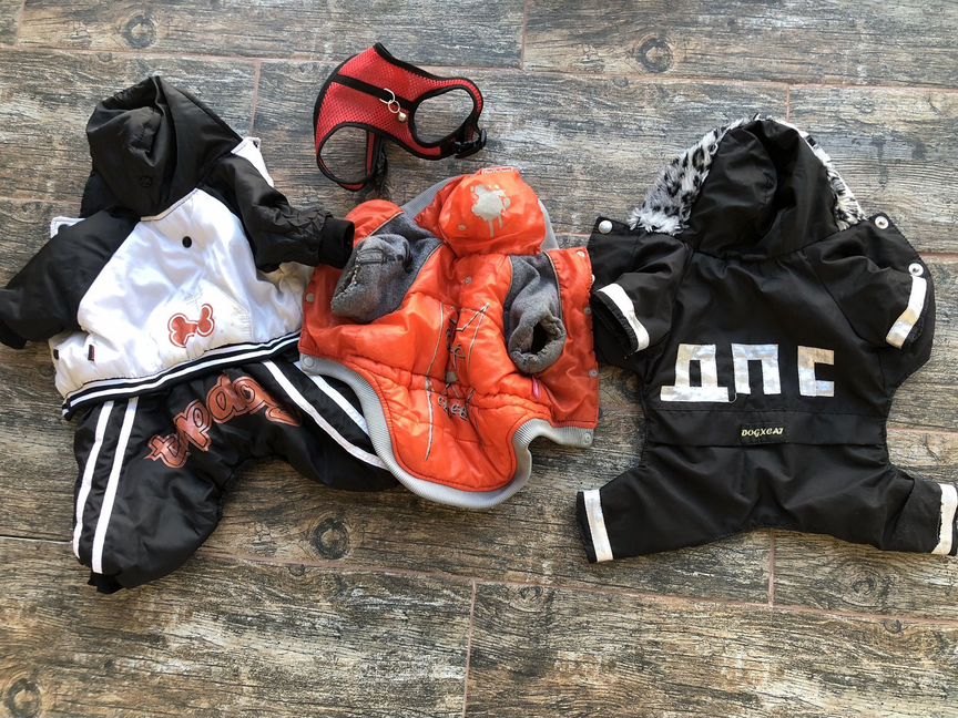 Вещи для животных