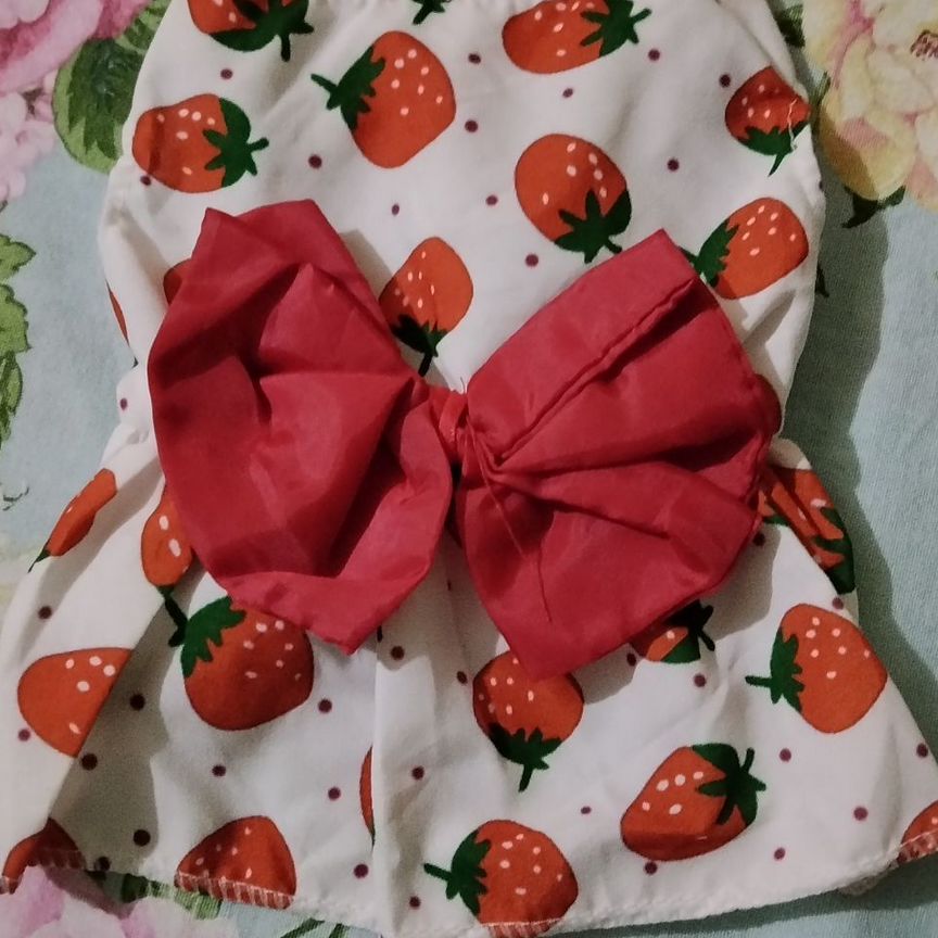 Платье для щенка девочки йоркширский терьер