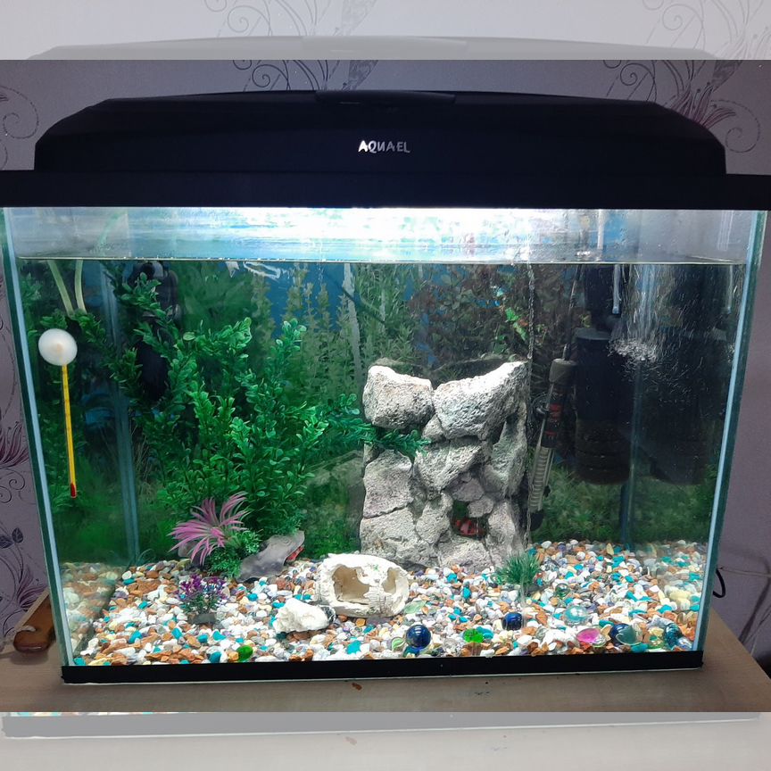 Аквариум