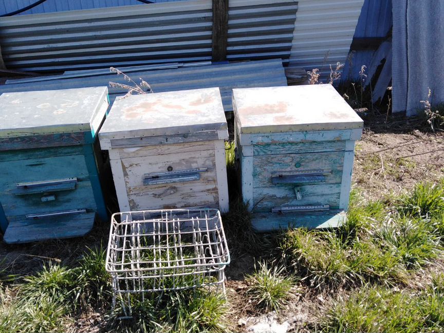 Продам улья б у 1000 р в сборе