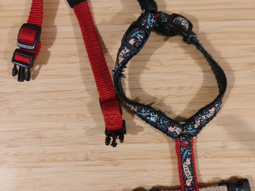 Шлейка шарик дог XXS