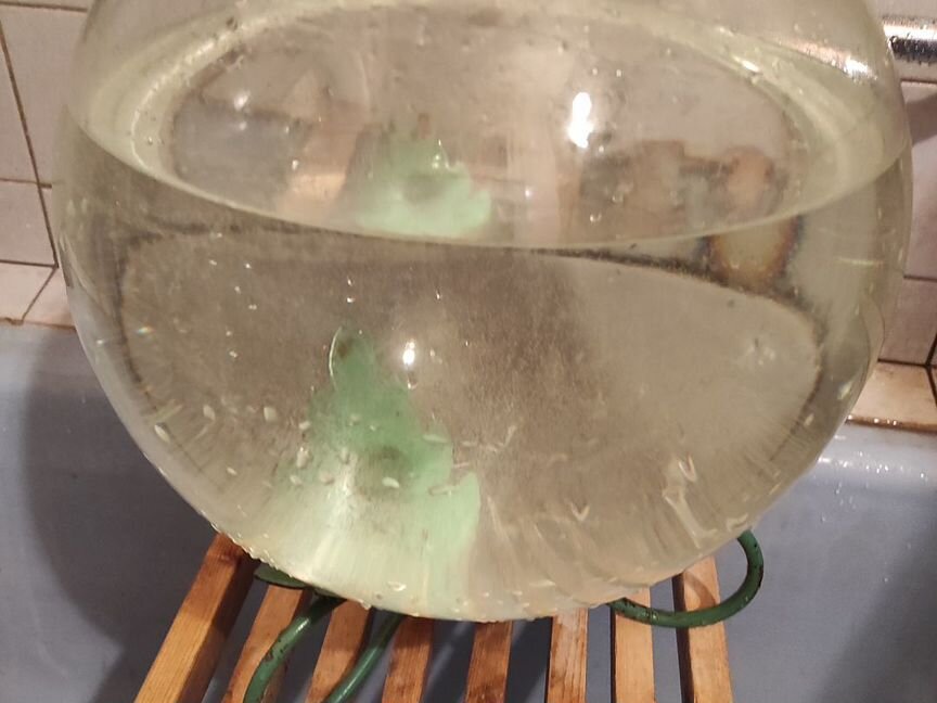 Аквариум шар СССР