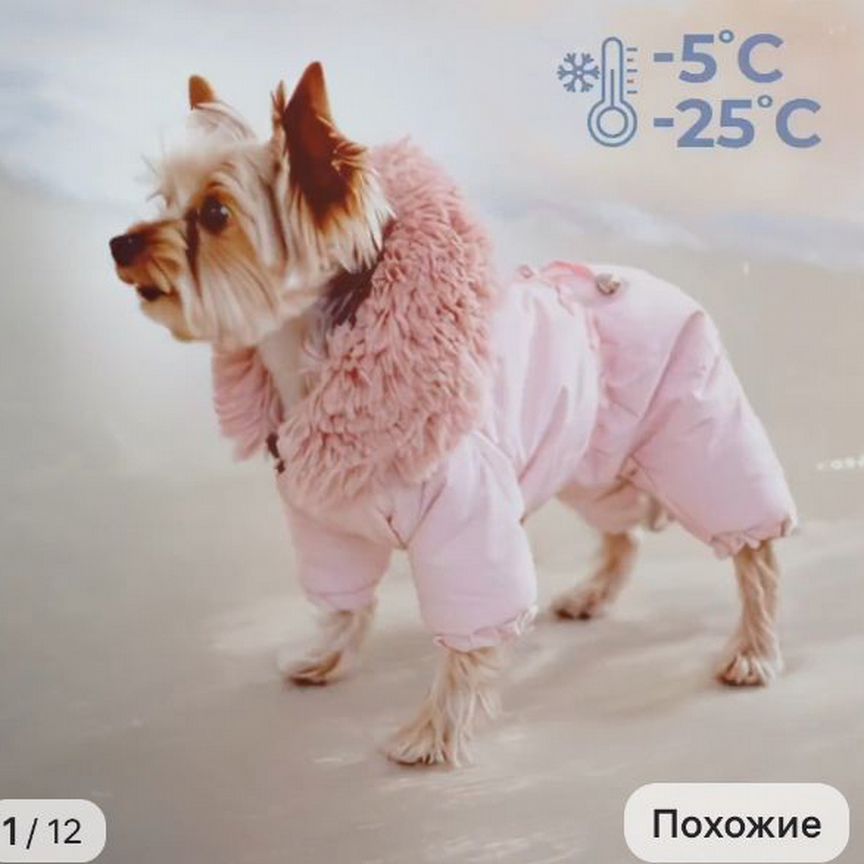 Комбинезон для маленькой собаки