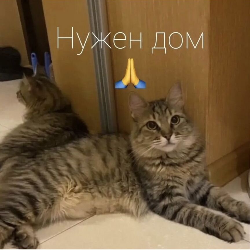 Спасенная малышка ищет семью