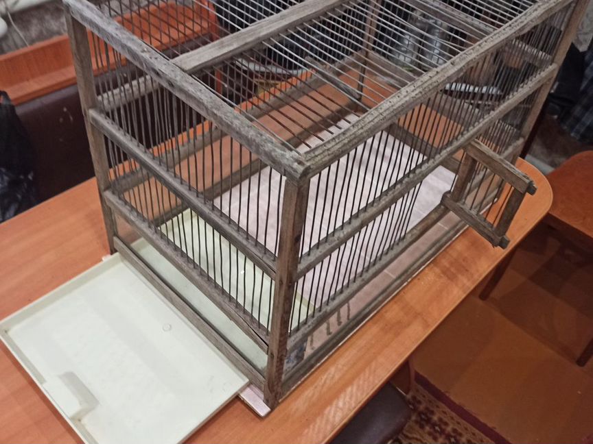 Соловей с клеткой