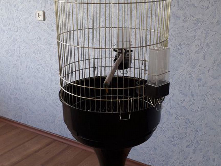Клетка