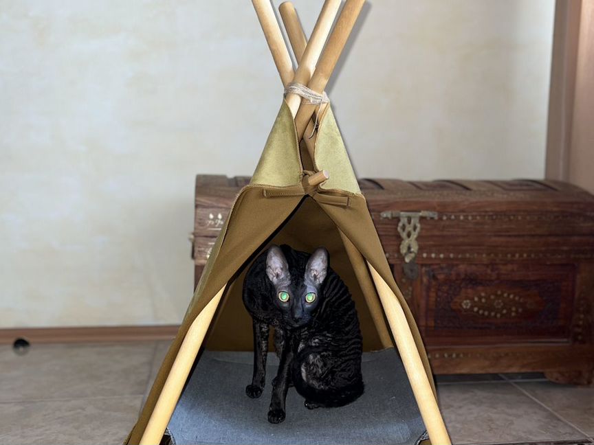 Домик лежанка для кошки Wigwam