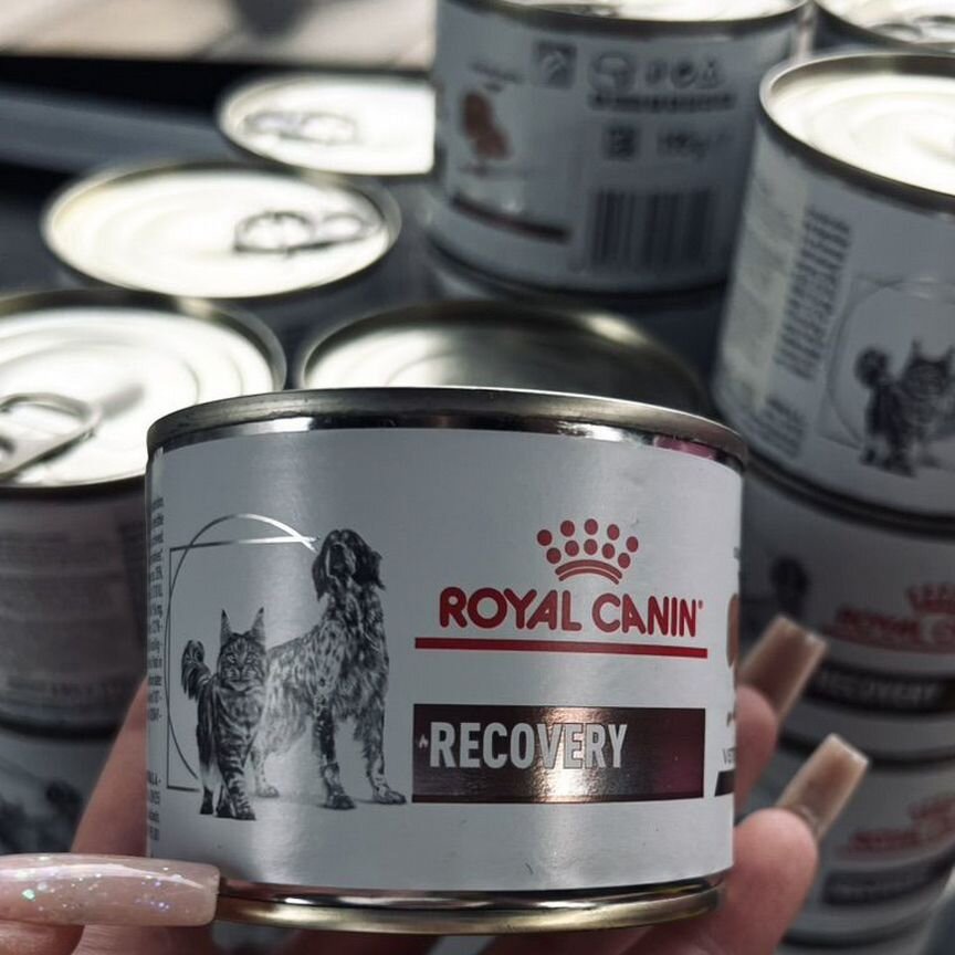 Royal canin recovery
