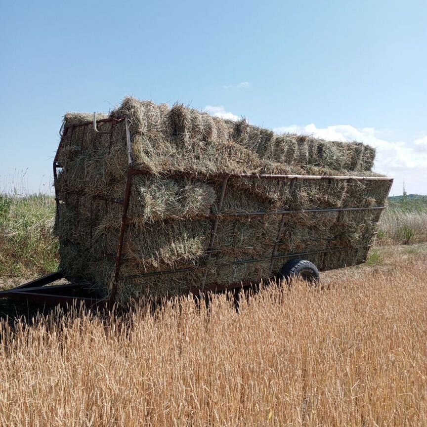 Сено в тюках