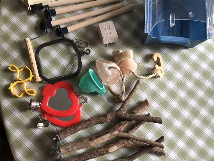 Аксессуары для птиц