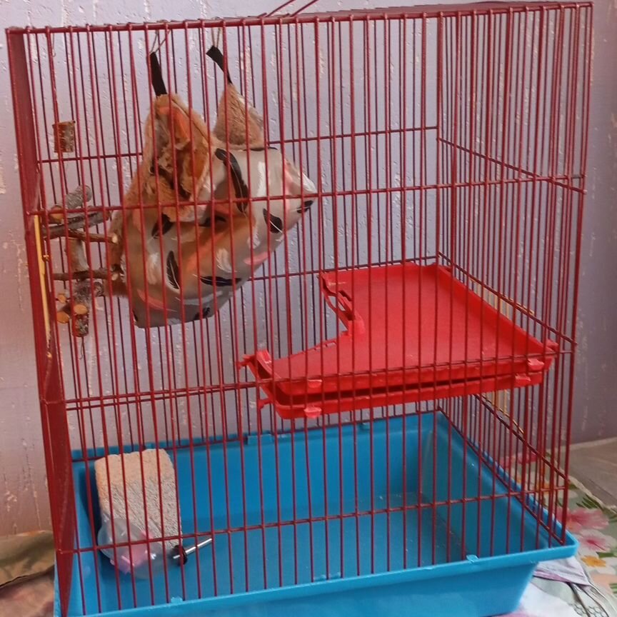 Клетка для грызунов большая бу.50-42-30 размер