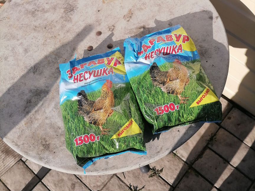 Здравур