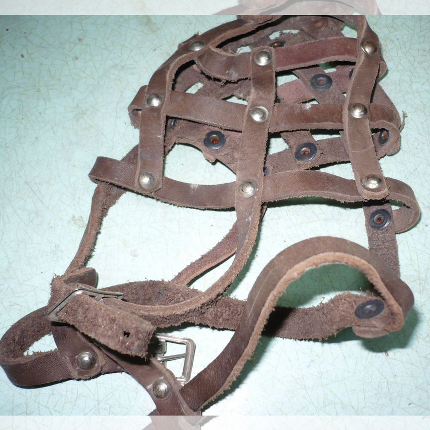 Для выгула собак принадлежности