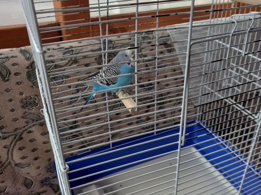 Клетка для попугая