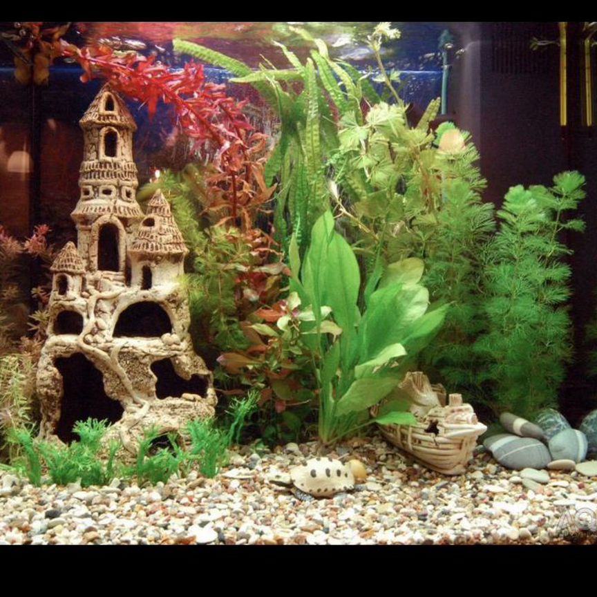 Обслуживание аквариумов