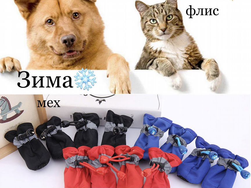 Обувь для собак