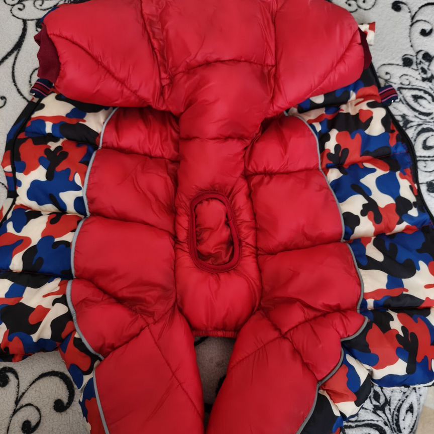 Одежда для собак средних девочка