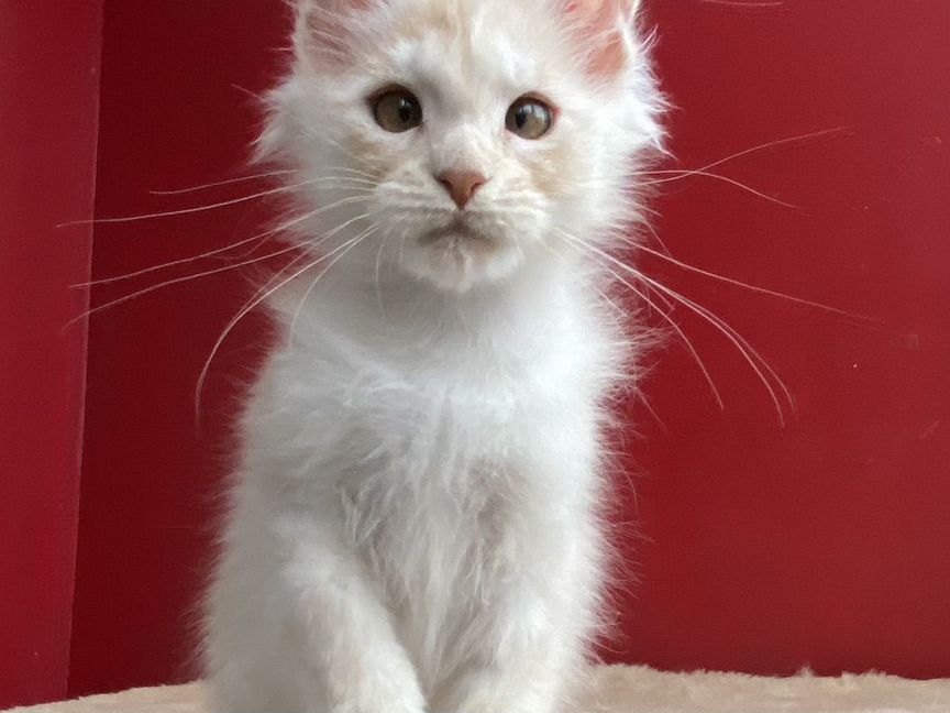 Девочка с изюминкой