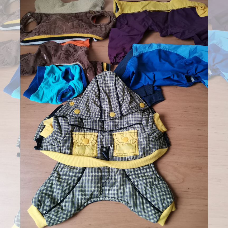 Одежда для животных