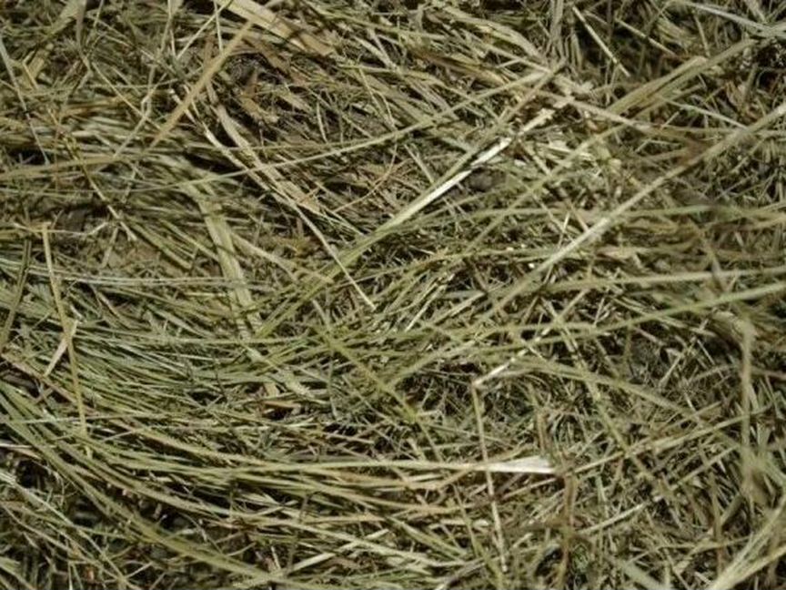 Сено в мешках