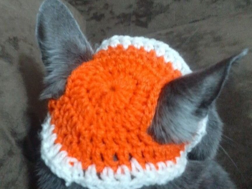 Шапочка для котика или мелких собак