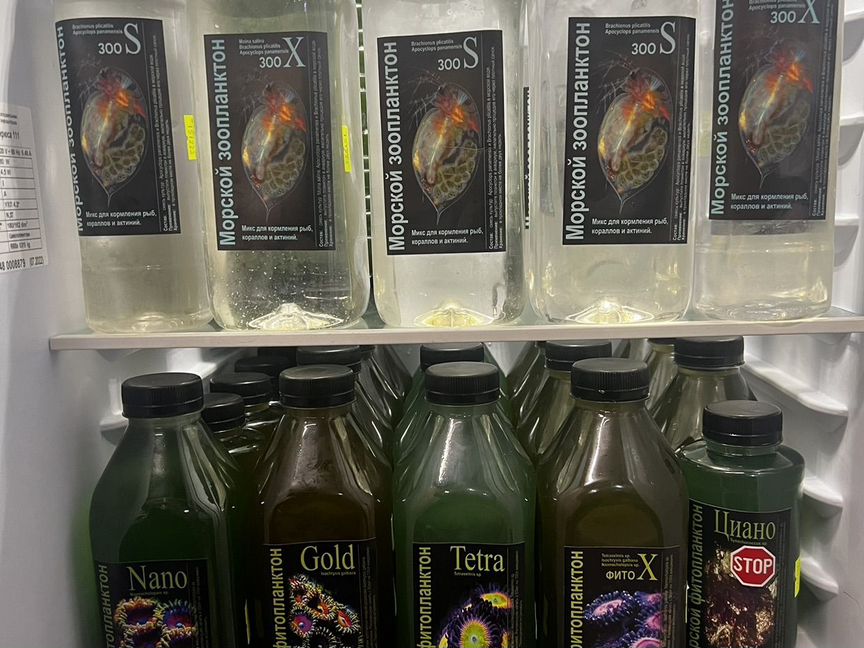 Зоо и Фито планктон