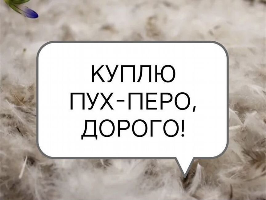 Пух-перо гусиное-утиное