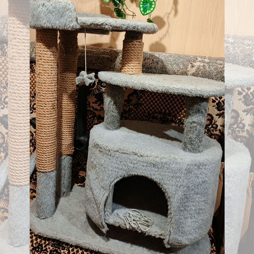 Когтеточка