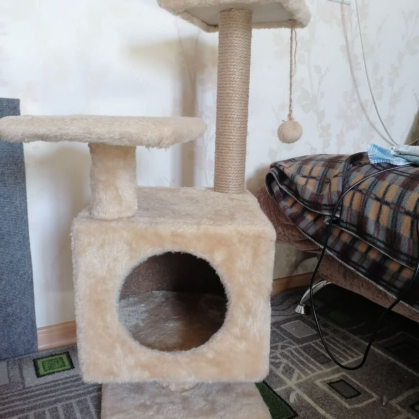 Кошачий дом
