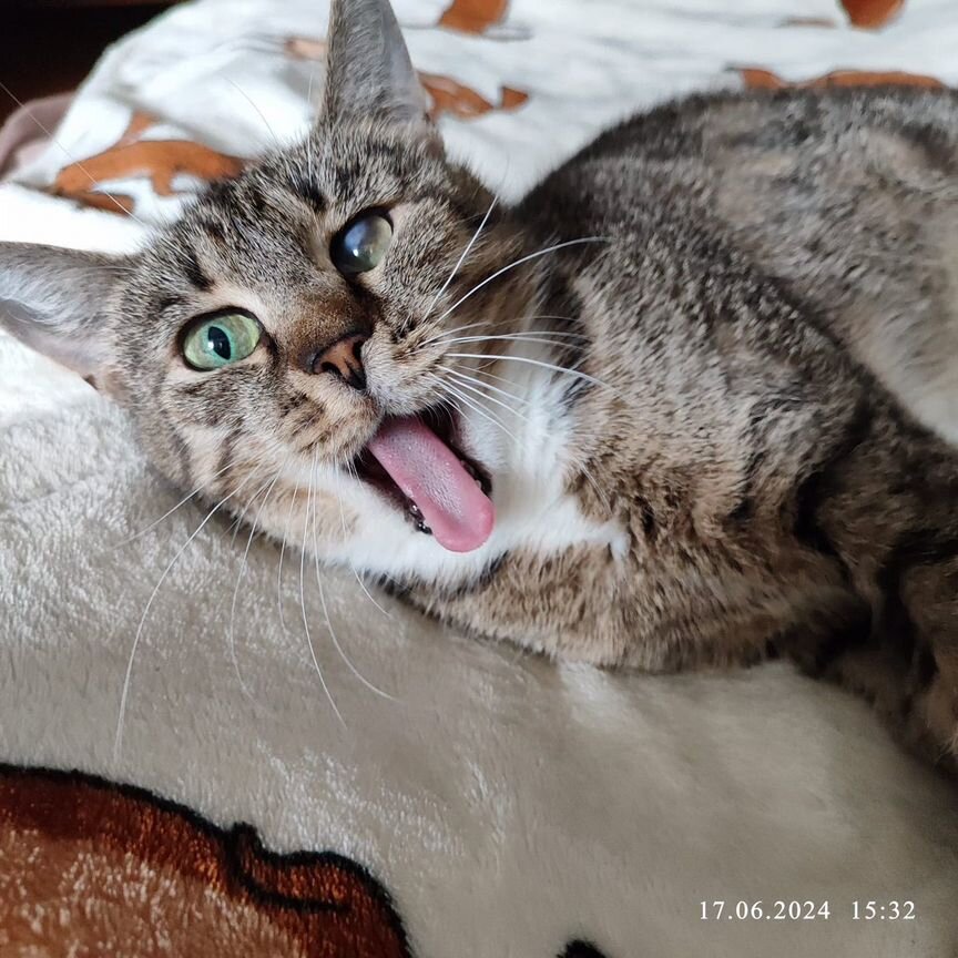 Сжальтесь над Мартой заберите домой